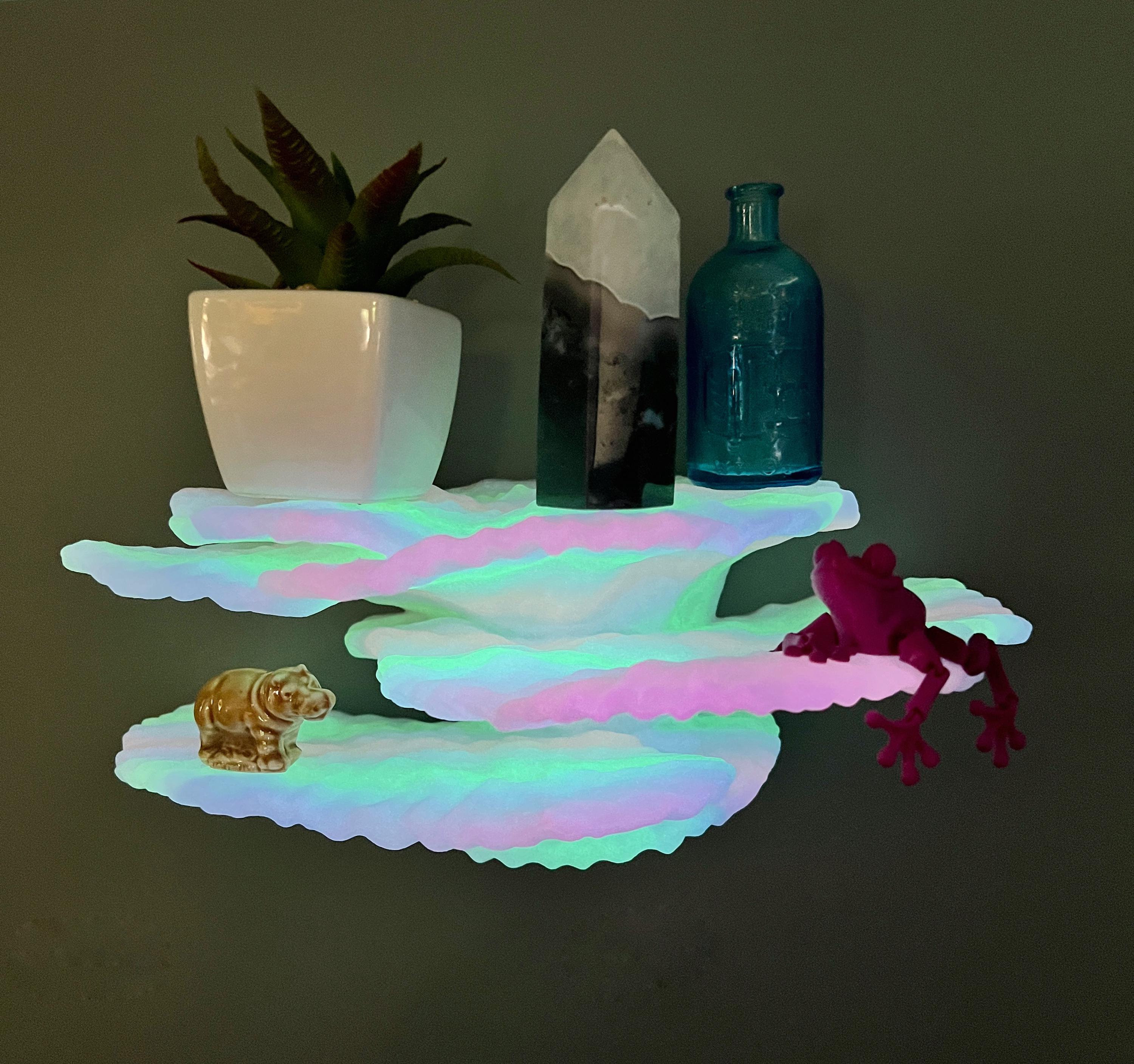 Glow in the Dark Floating Coral Shelf Large “montipora Capricornis ...