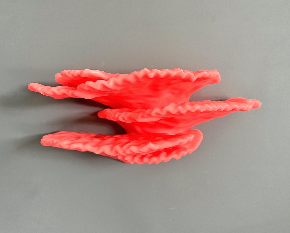 Glow in the Dark Floating Coral Shelf montipora Capricornis ,beach ...