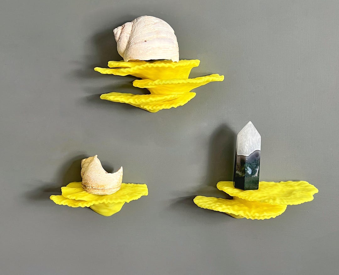 Floating Coral Reef Shelf Set “montipora Capricornis” Mini Bundle Set ...