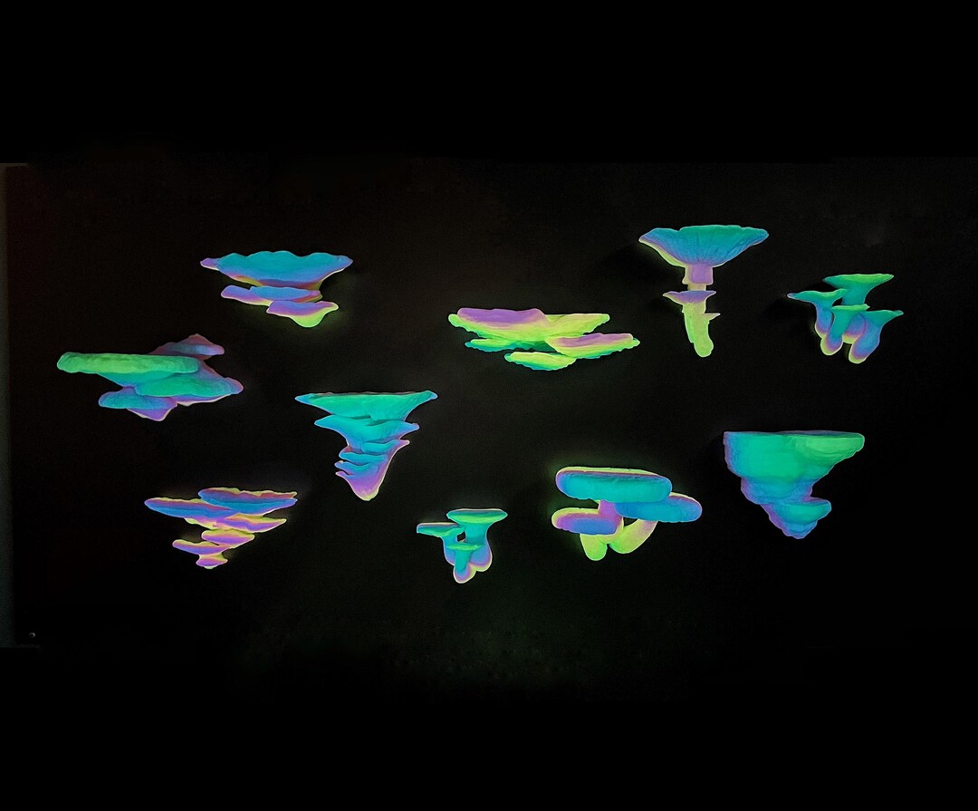 Floating Mushroom Shelves, Rainbow Glow in the Dark Decorative Shelf ...