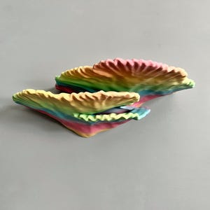 Floating Coral Shelf “montipora Capricornis” Bundle Set, Glow in the ...