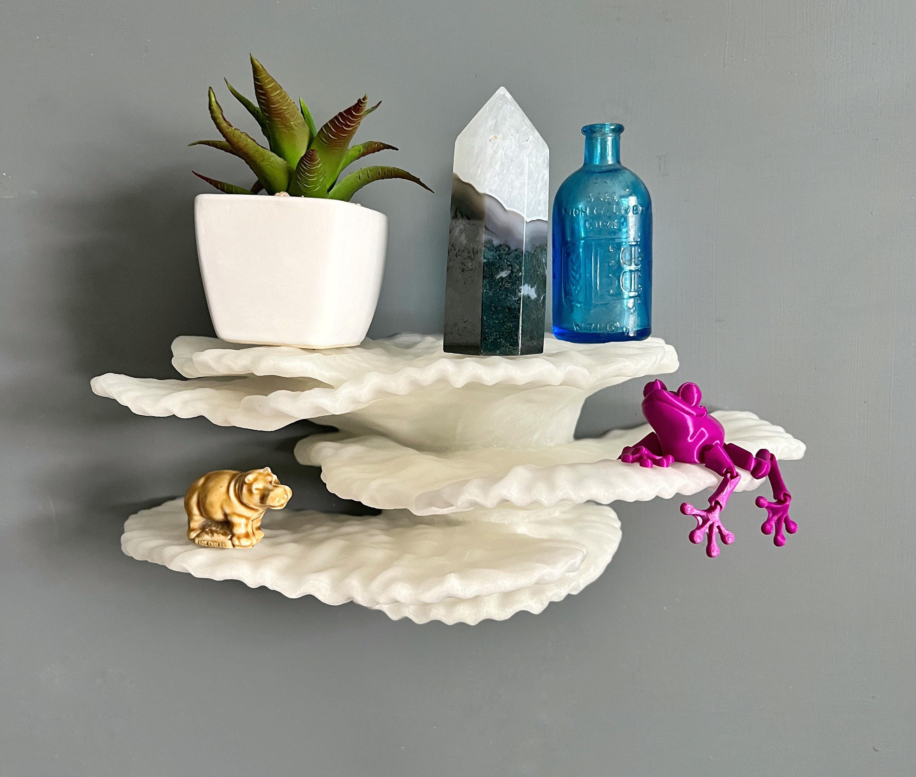 Glow in the Dark Floating Coral Shelf montipora Capricornis ,beach ...