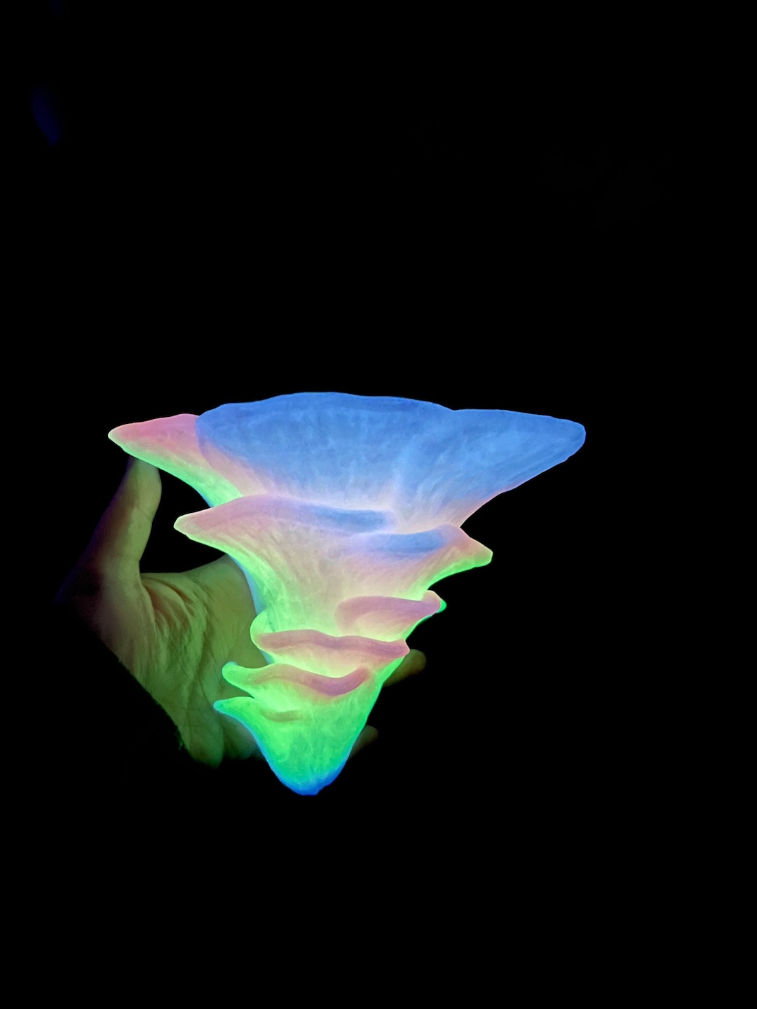 Rainbow Glowing Fungus Shelf, Djamor Hanging 3D Printed Mushroom Shelf ...