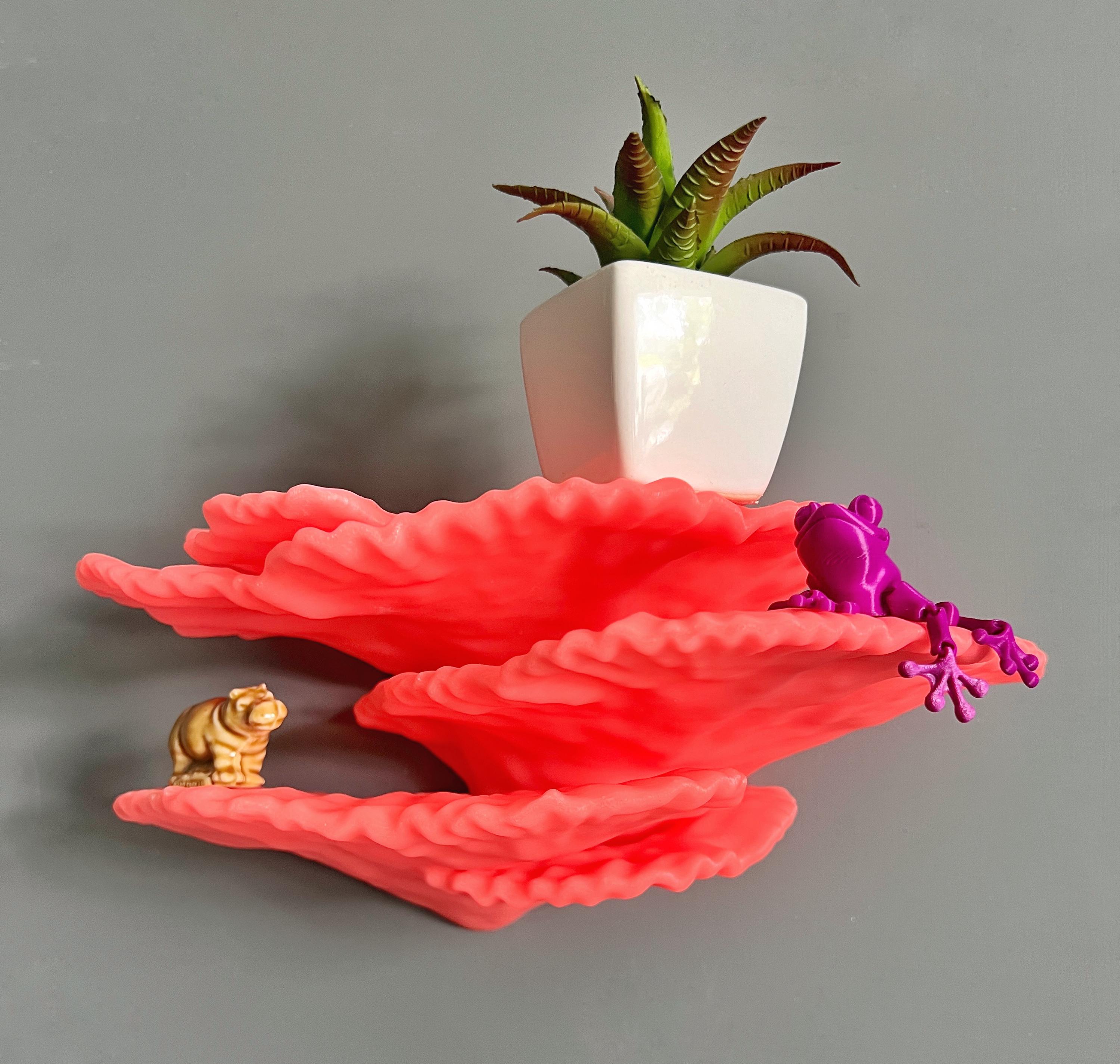 Glow in the Dark Floating Coral Shelf montipora Capricornis ,beach ...