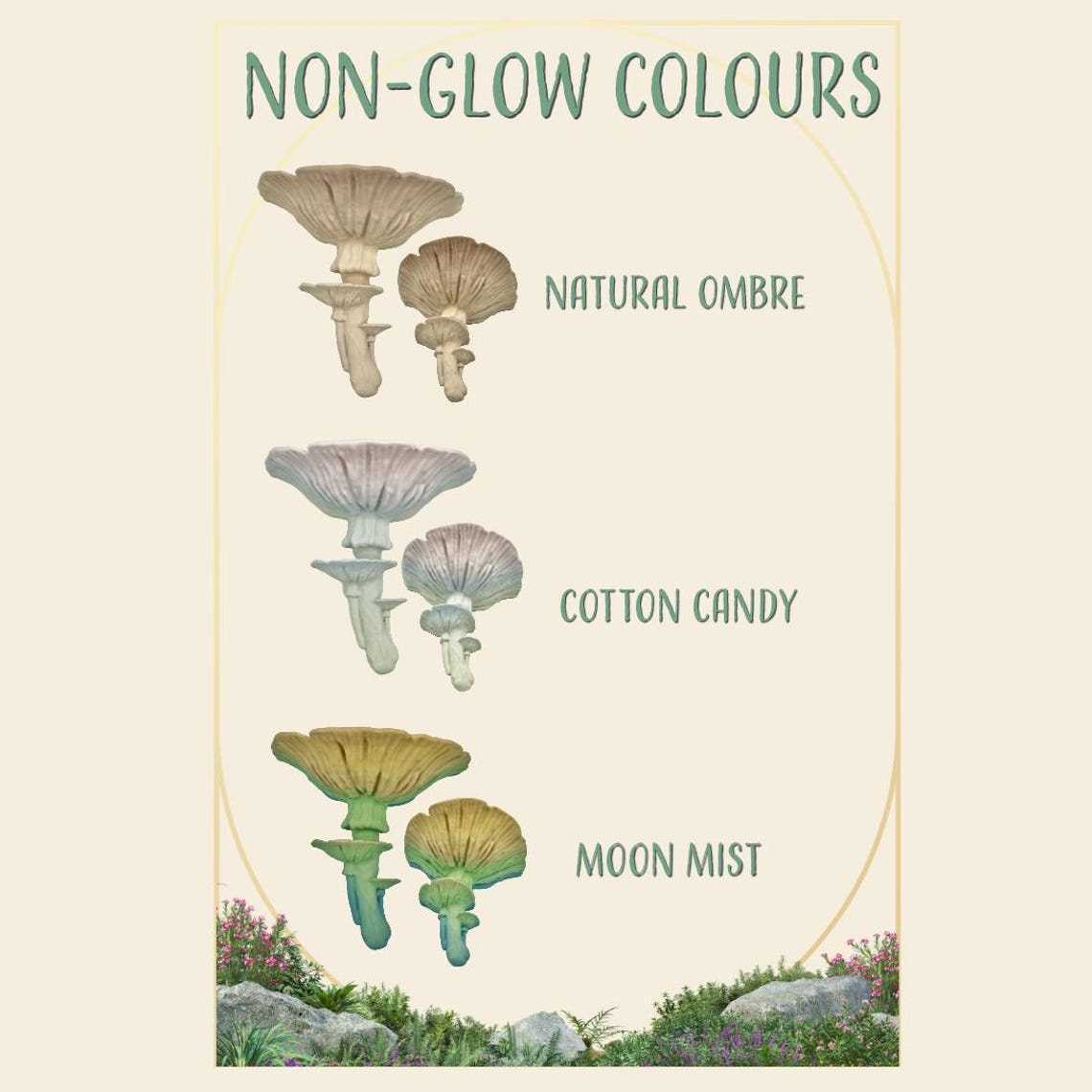 Glow in the Dark Floating Coral Shelf montipora Capricornis ,beach ...