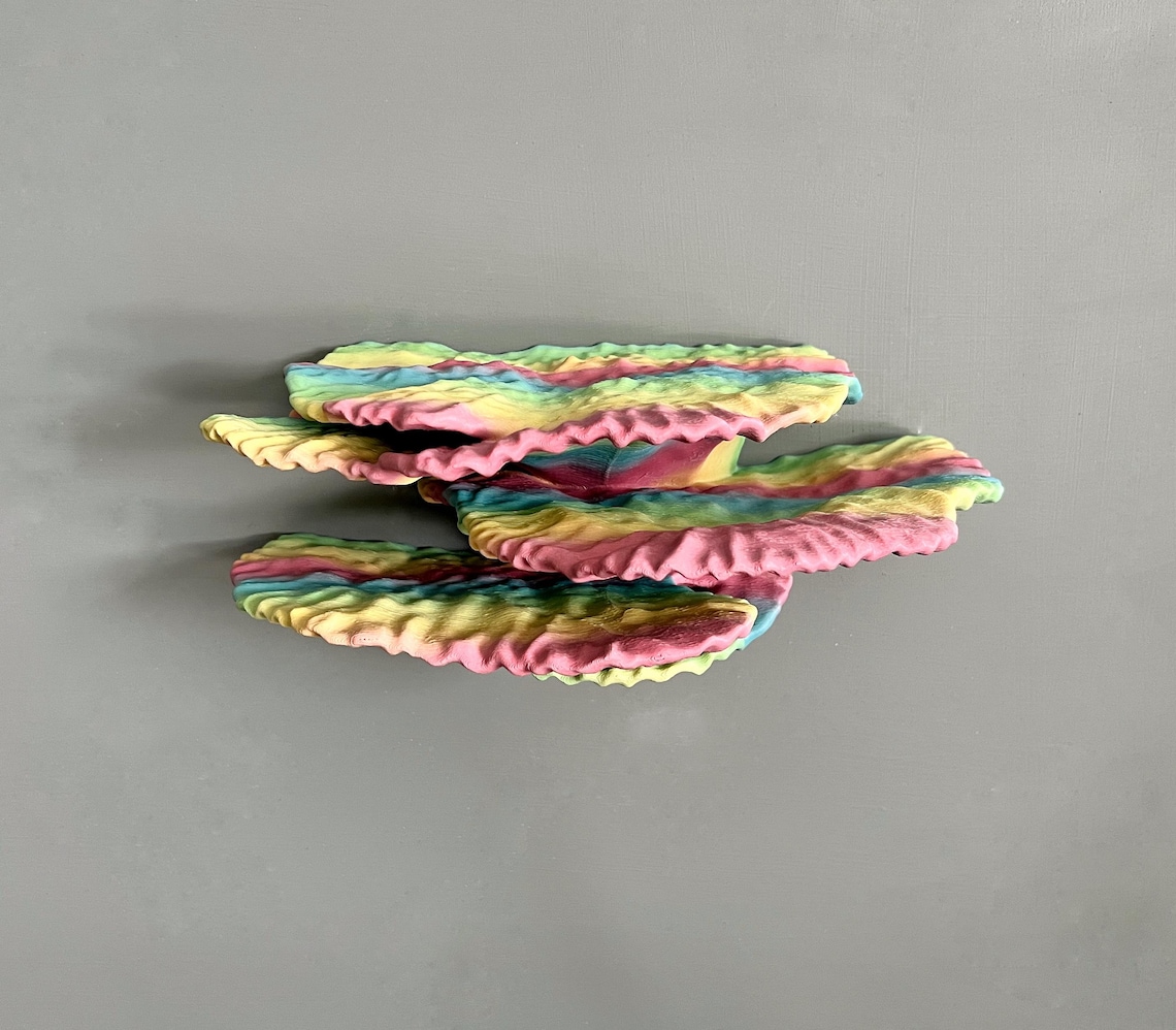 Glow in the Dark Floating Coral Shelf montipora Capricornis ,beach ...