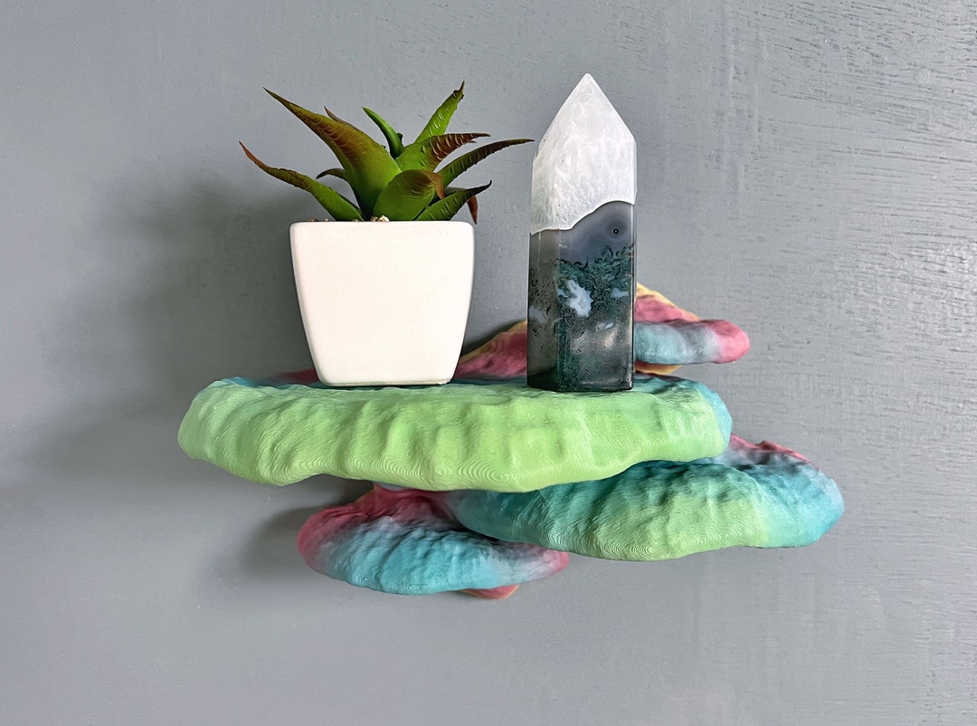 Hanging Mushroom Shelf, Glow in the Dark Wall Decor, Mushroom Core ...