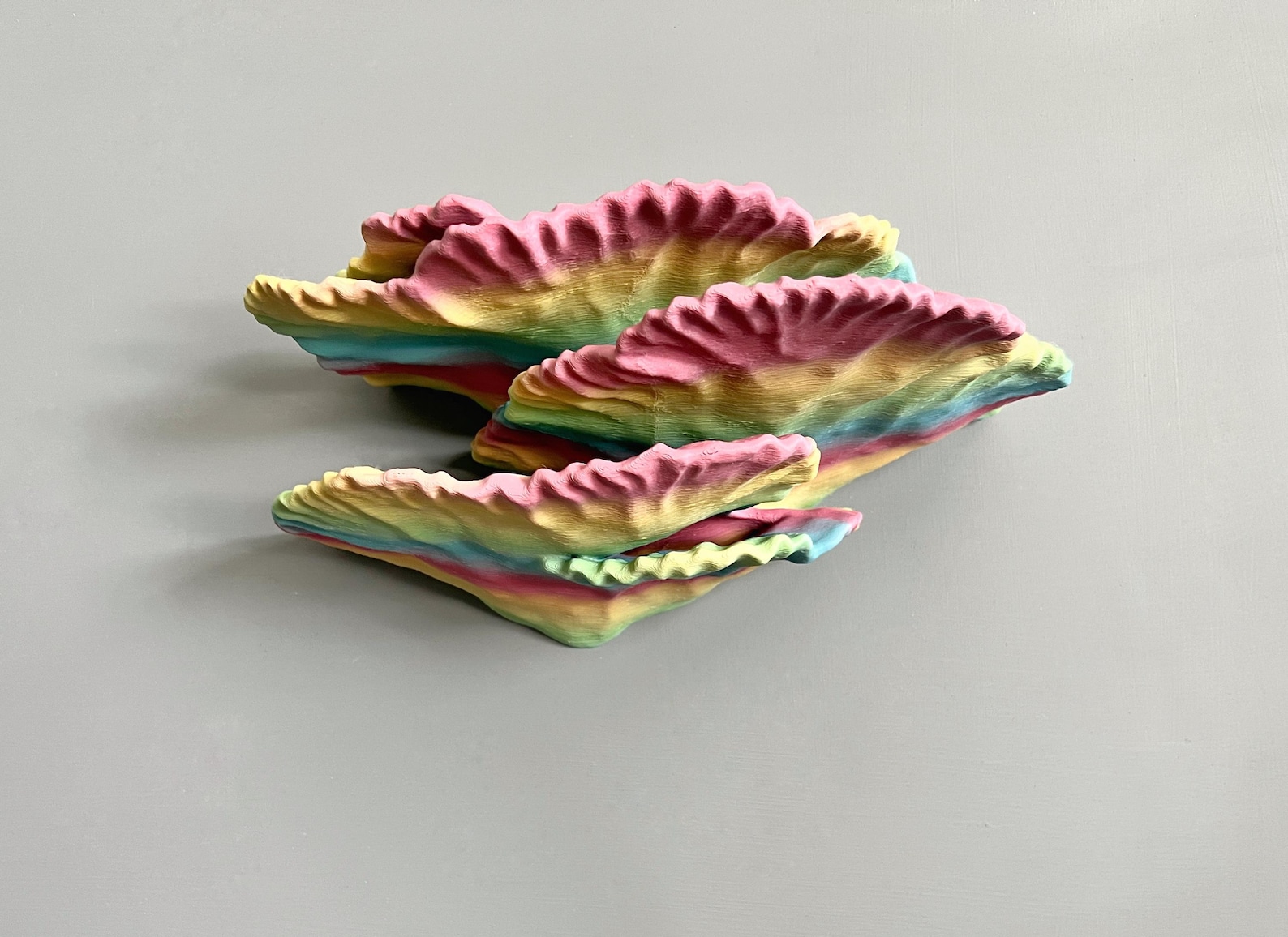 Glow in the Dark Floating Coral Shelf montipora Capricornis ,beach ...