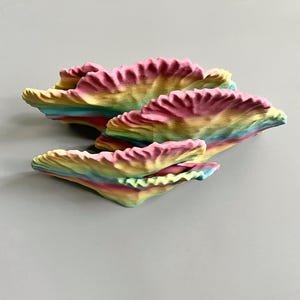 Glow in the Dark Floating Coral Shelf Large “montipora Capricornis ...