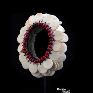 Tribal Arm Piece Shell Kula Wealth/trade Object From Papua 2.6" New ...