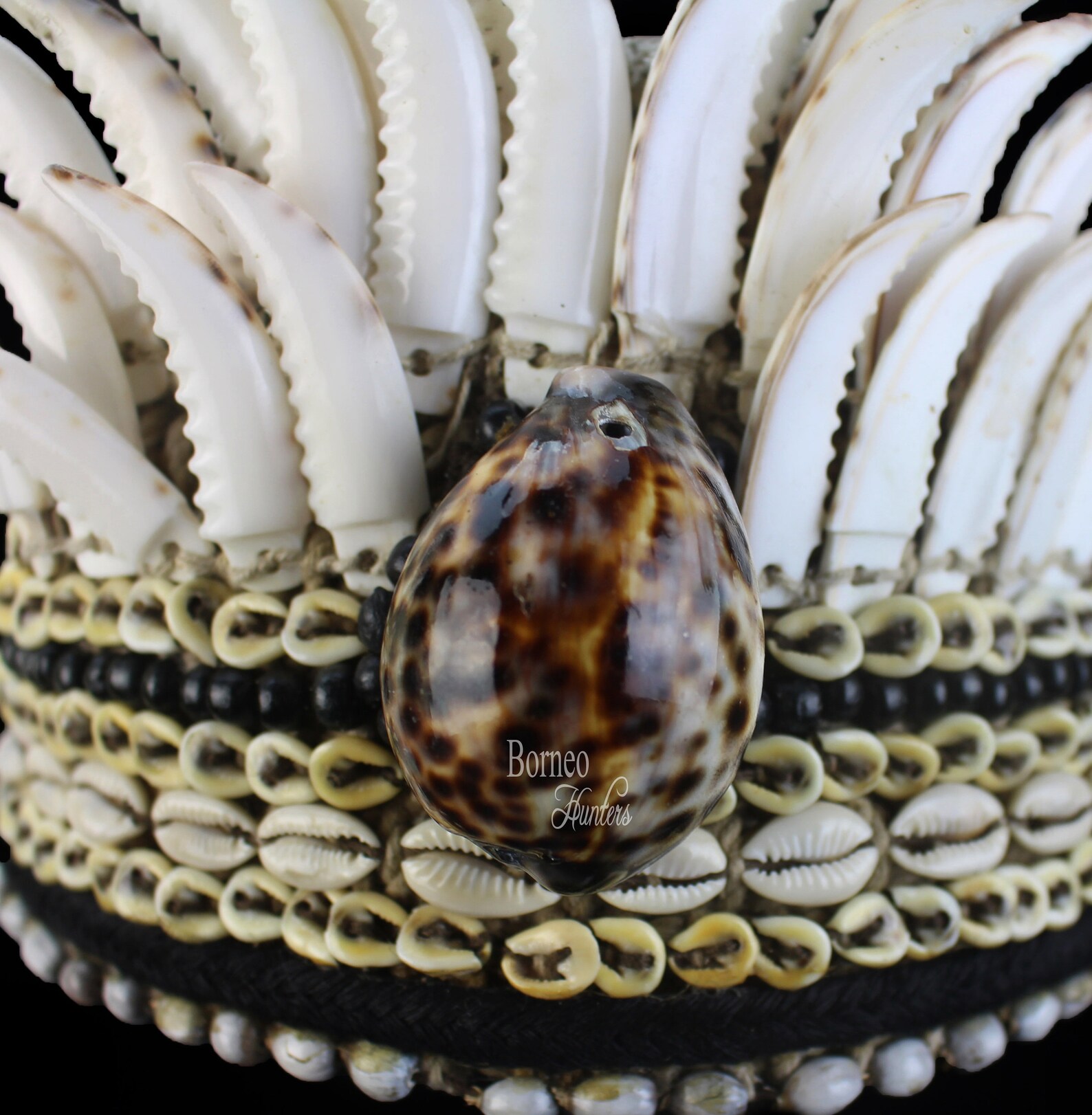 Seashell Crown/headdress Tribal Papua Latmul Headgear/tiara/bonnet ...