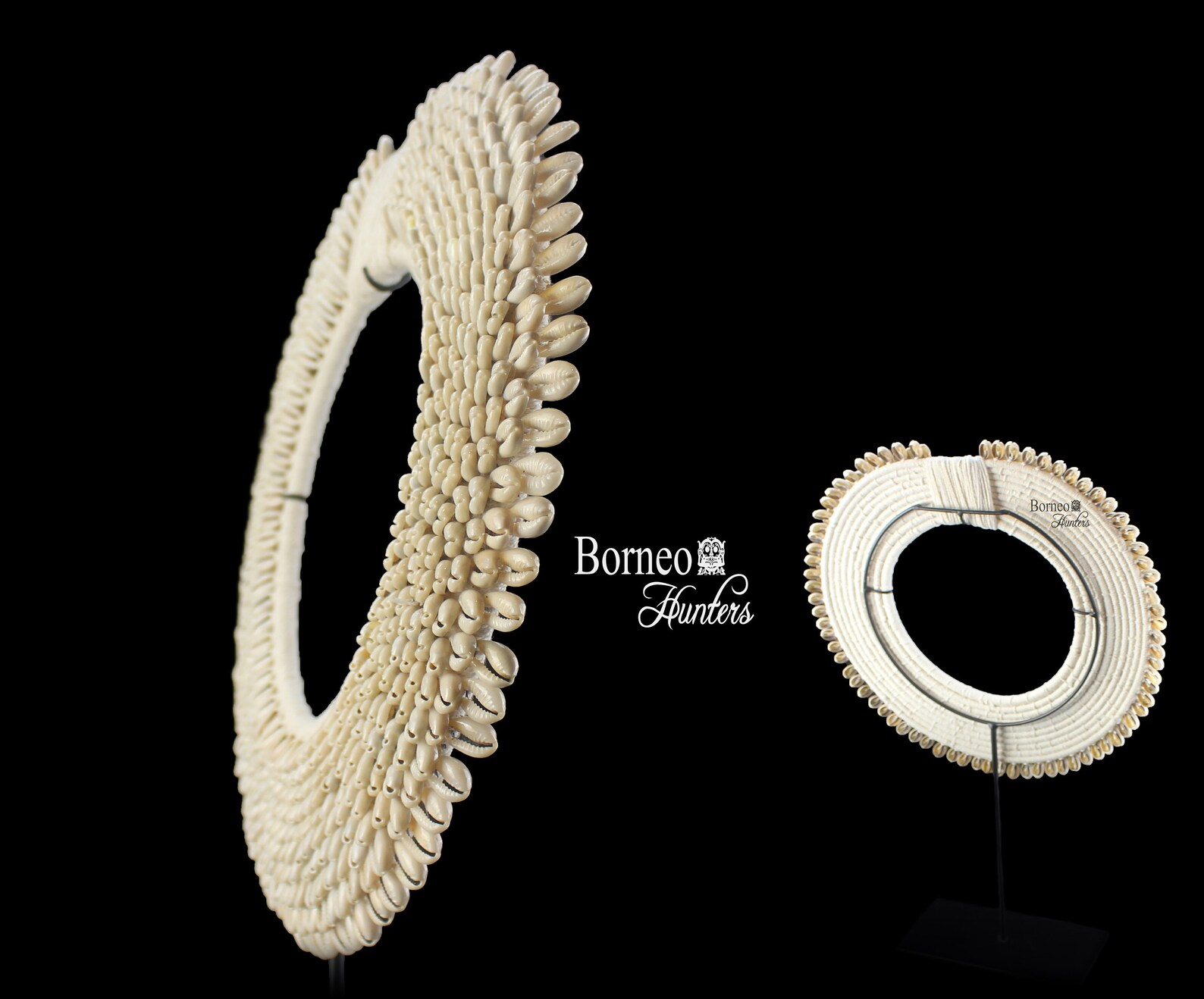 Papua Shell Plate Cowrie Shells Neck Adornment of 10 - Etsy