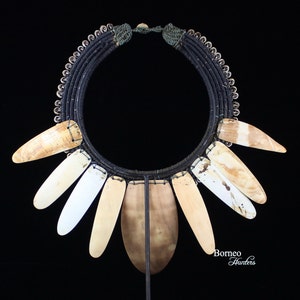 Papua Necklace,bauler Shell Necklace, New Guinea Currency Collar, Nassa ...