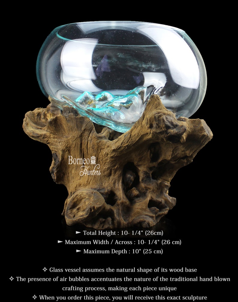 Fish Tank Terrarium Hand Blown Molten Glass on Sculptural - Etsy