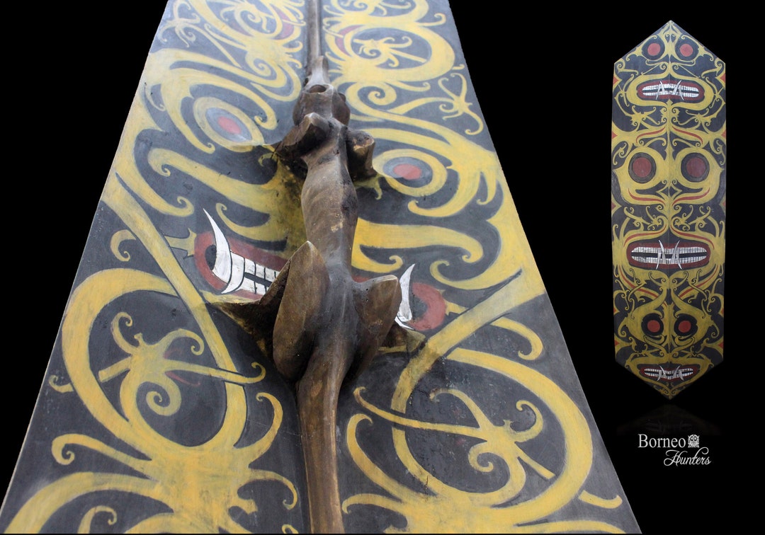 50" War Shield From Dayak Borneo Tribal Long House Wood Shield Kayan ...