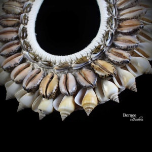 Mixed Seashell Necklace Nautical Ocean Tiger Cowrie, Spiral Shell and ...