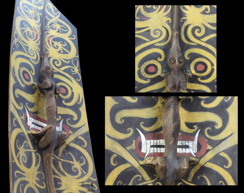 50 War Shield From Dayak Borneo Tribal Long House Wood | Etsy