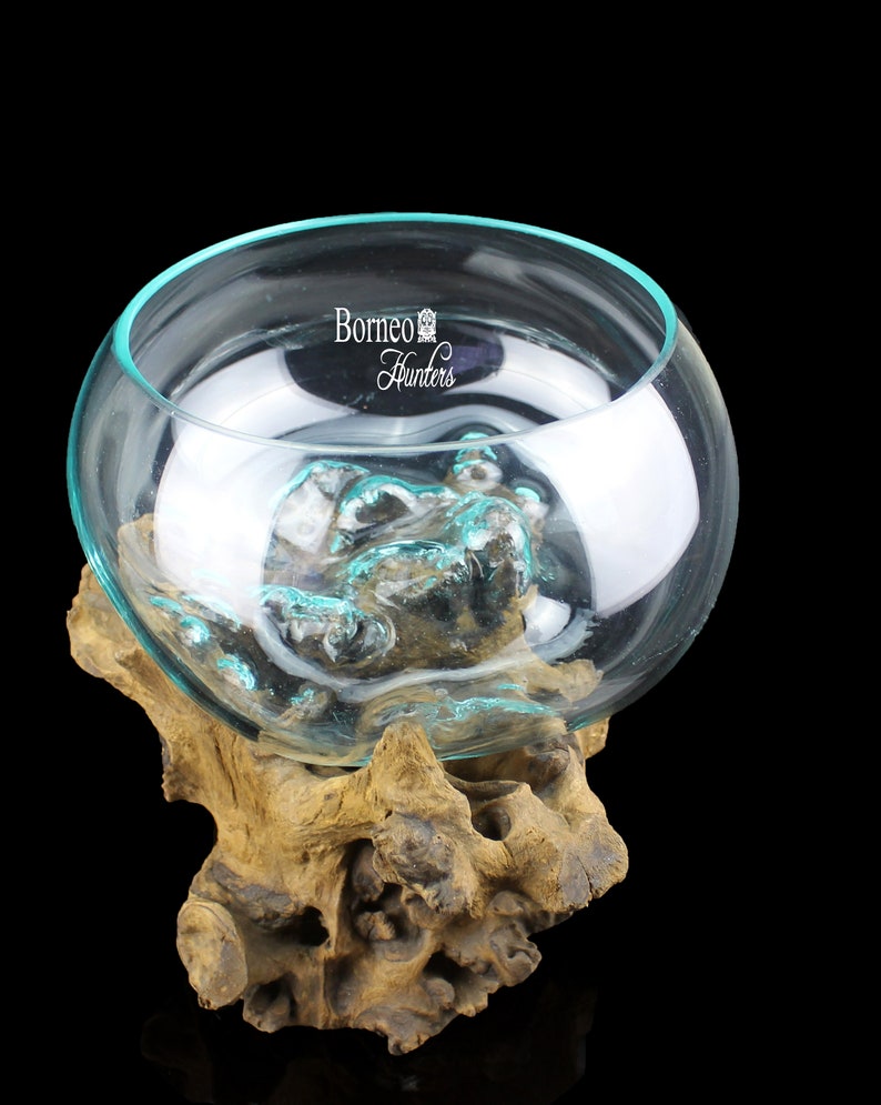 Fish Tank Terrarium Hand Blown Molten Glass on Sculptural - Etsy