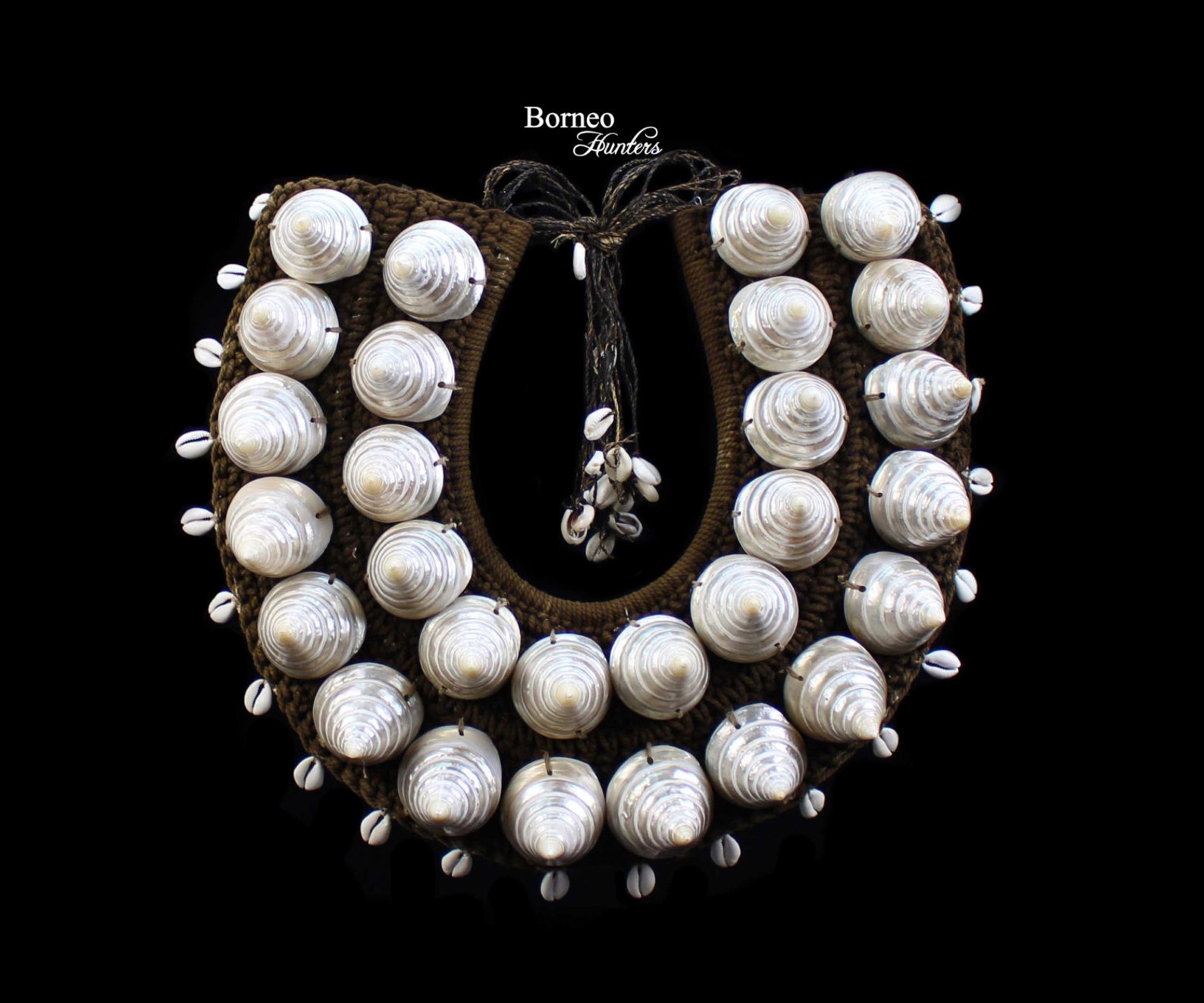 Pearlized Cone Shell Necklace. Creamy Iridescent Polished - Etsy