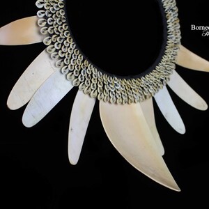 Papua Necklace,bauler Shell Necklace, New Guinea Currency Collar, Nassa ...
