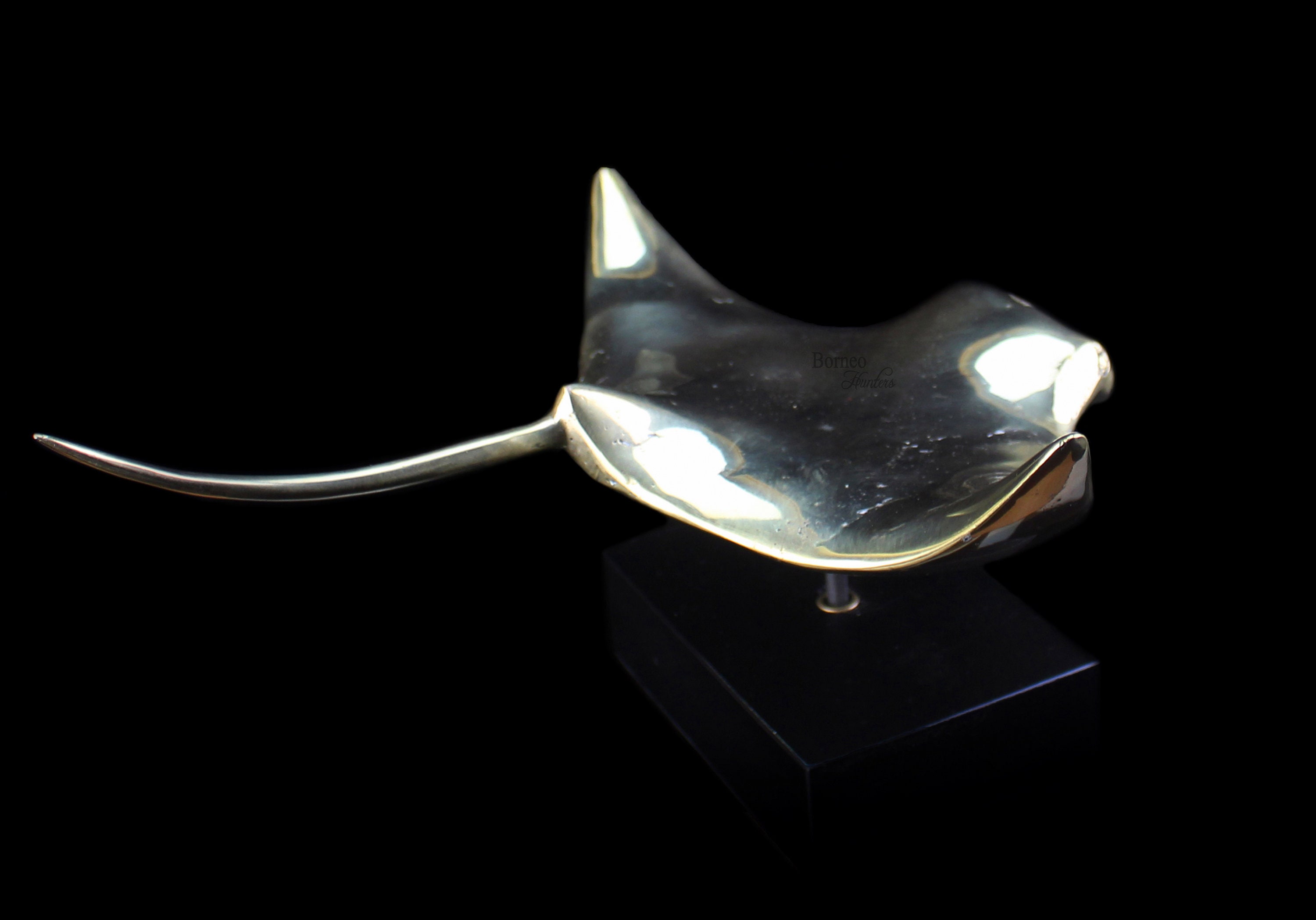 Brass Stingray Sculpture on Base 13.5 / 28.5 CM Sea Life - Etsy UK
