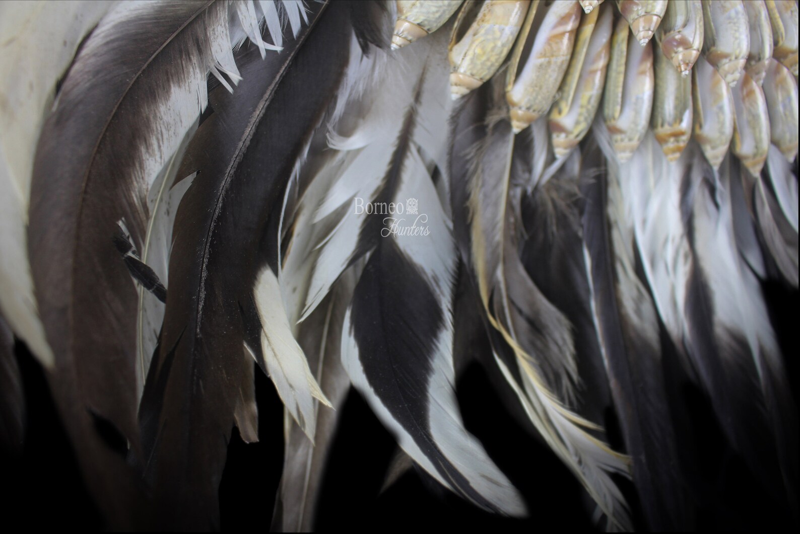 Papua Necklace Mixed Feathers & Shells BohemianBeach | Etsy