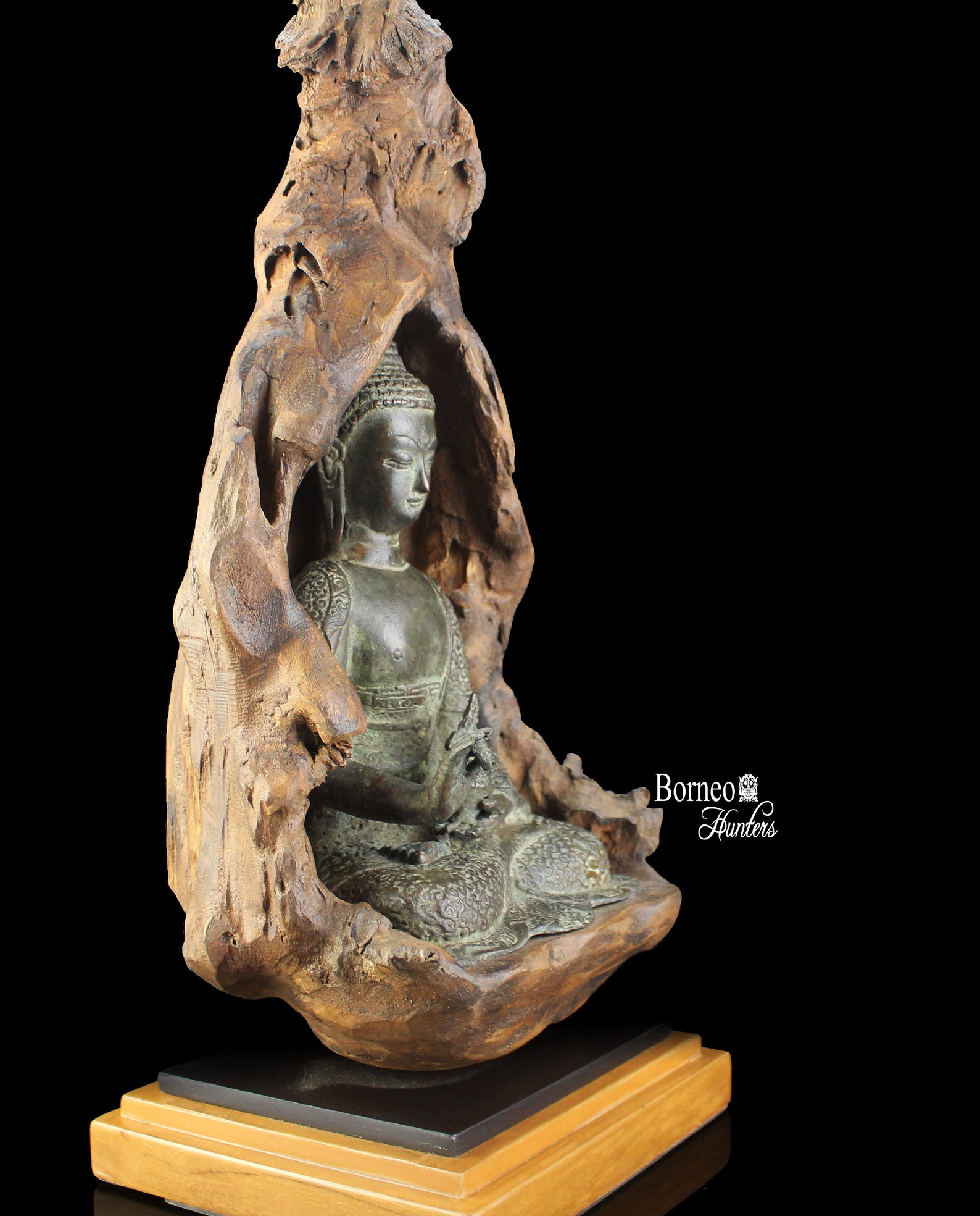 Bronze Healing Buddha in Natural Wood 49CM Medicine Buddha With Alms ...