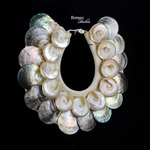 Trochus Shell - Etsy