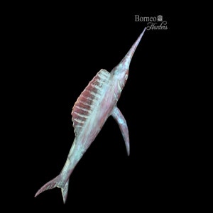 18cm Marlin Fish Sculpture in Brass, Spear-like Snout Marlin the Fast ...