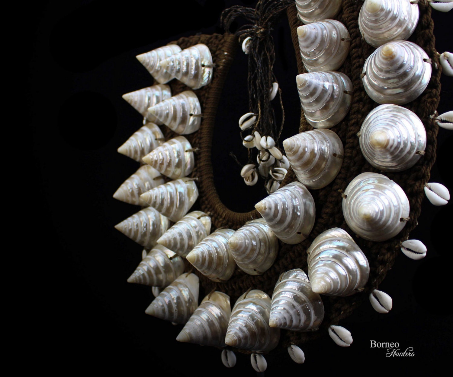 Pearlized Cone Shell Necklace. Creamy Iridescent Polished - Etsy
