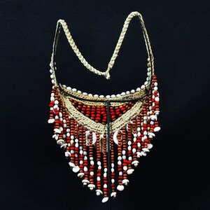 Shell and Seed Necklace. Papua New Guinea Triangular Front Necklace ...