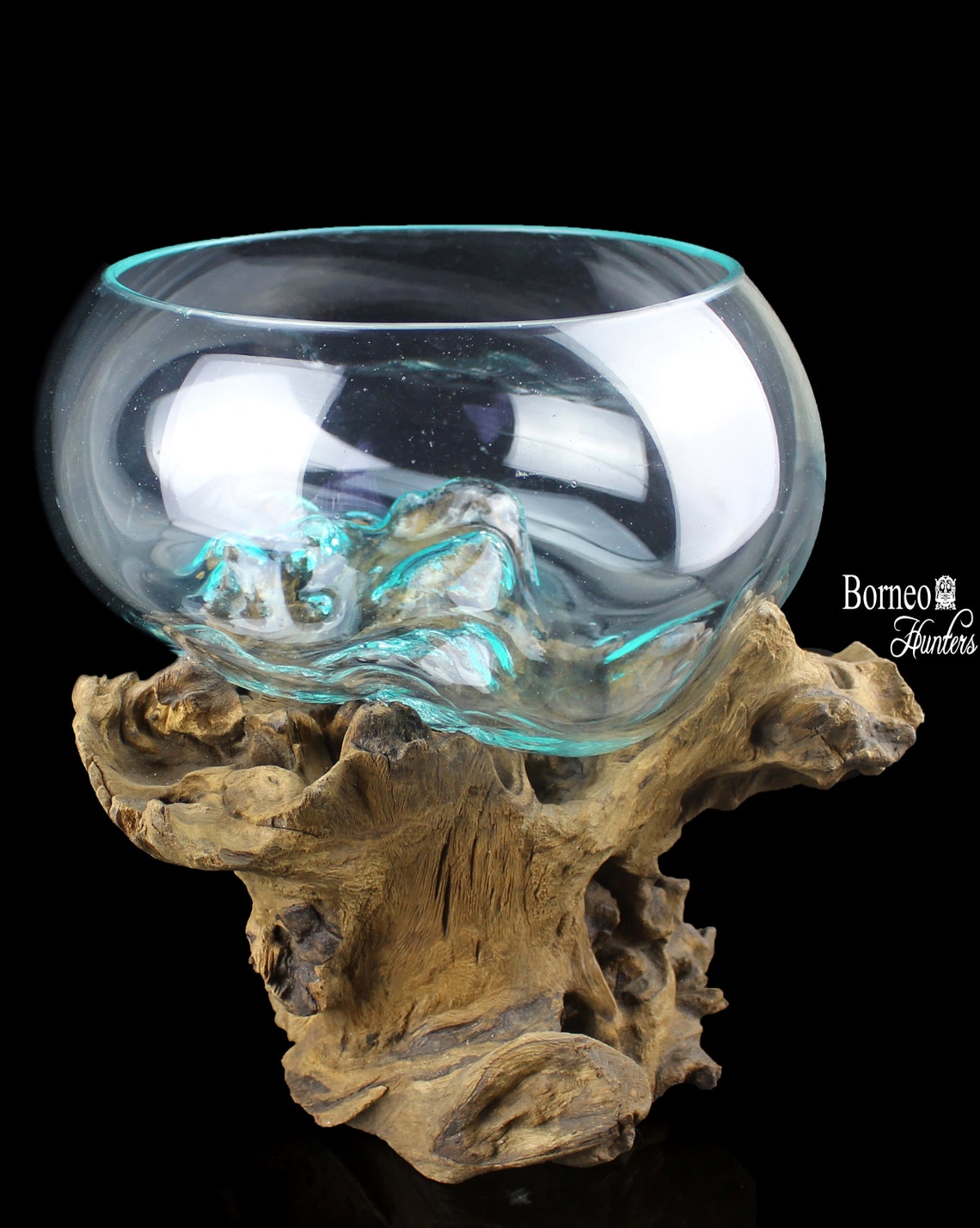 Fish Tank Terrarium Hand Blown Molten Glass on Sculptural - Etsy