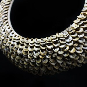 Nassa Shell Necklace: Papua New Guinea Tribal Collar - Etsy