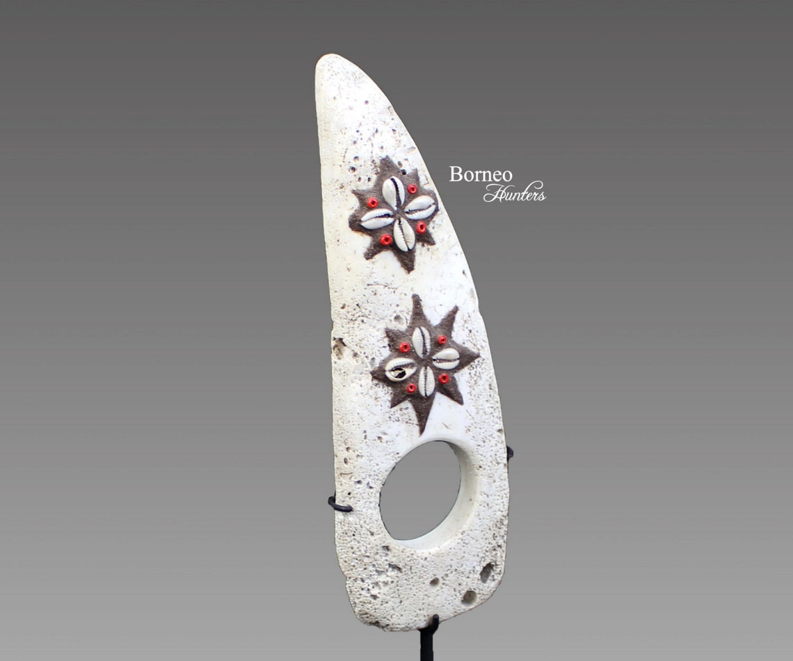 Papua Shell Money New Guinea 9.3currency Shell Boiken - Etsy