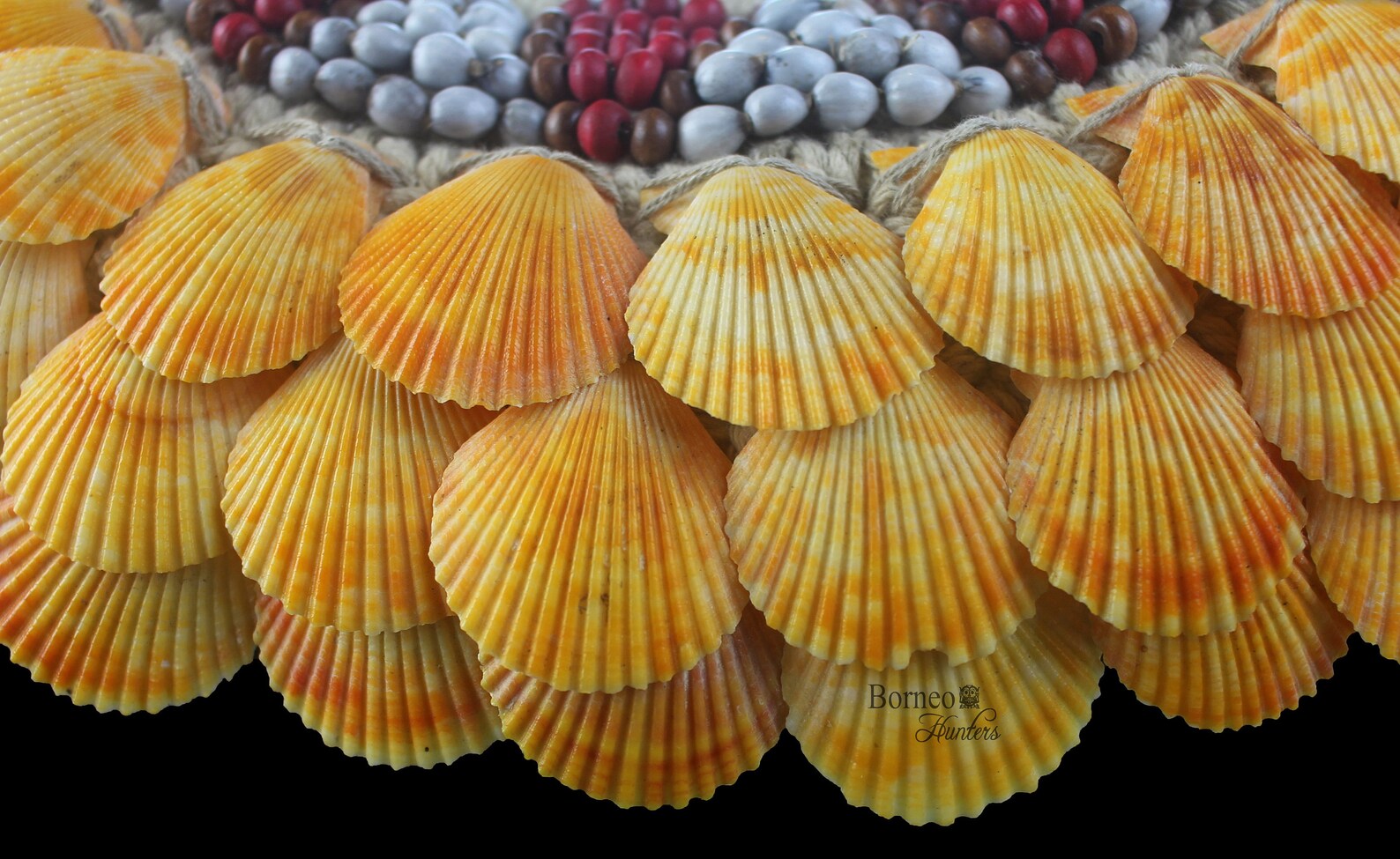 Yellow Ribbed Shells Necklace With Seeds and Beads Natural | Etsy