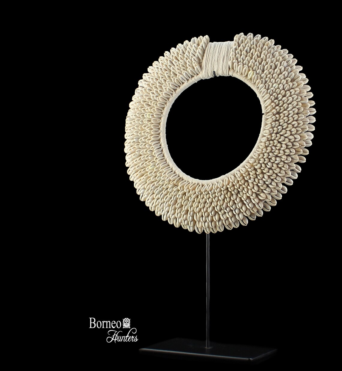 Papua Shell Plate Cowrie Shells Neck Adornment of 10 - Etsy