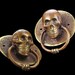 Skull Knocker Door Knocker Skull Sculpture in Brass Skeleton - Etsy