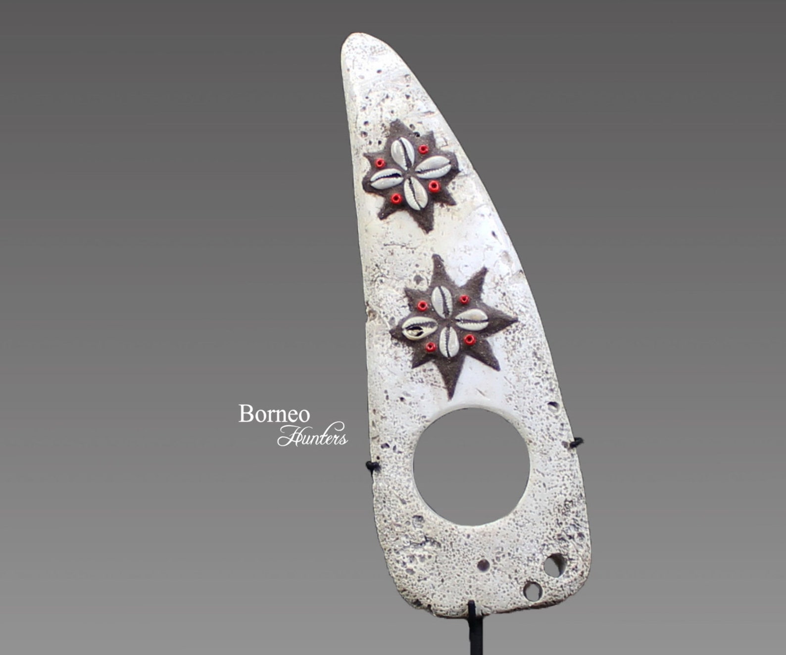 Papua Shell Money New Guinea 9.3currency Shell Boiken | Etsy