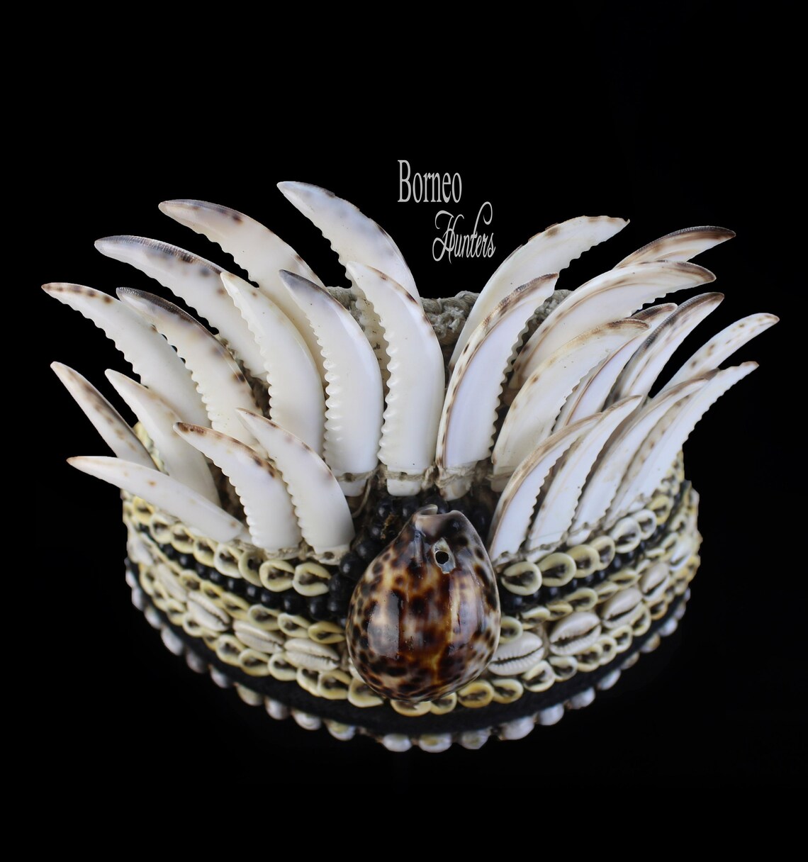 Seashell Crown/headdress Tribal Papua Latmul Headgear/tiara/bonnet ...