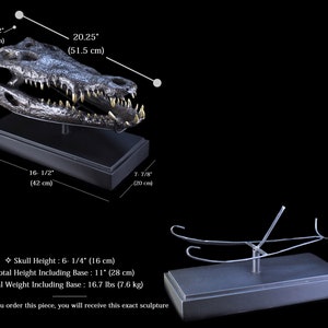 51cm Crocodile Skull on Base, Brass Crocodile Head Unique Bold Interior ...