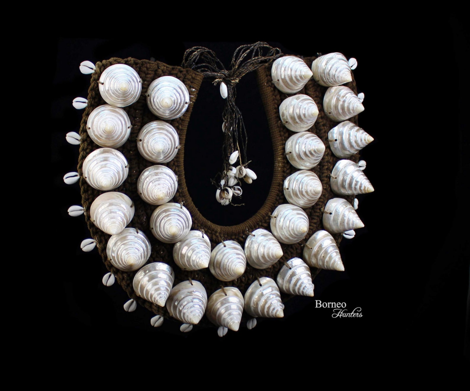 Pearlized Cone Shell Necklace. Creamy Iridescent Polished - Etsy