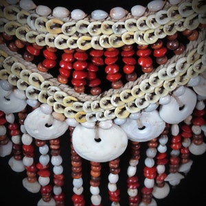 Shell and Seed Necklace. Papua New Guinea Triangular Front Necklace ...