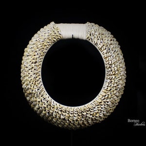 Nassa Shell Necklace: Papua New Guinea Tribal Collar - Etsy