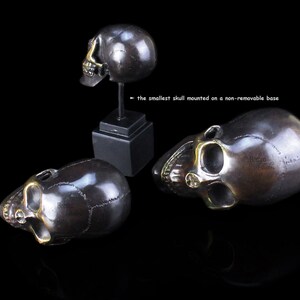 Brass Indonesian Skull Sculptures: Two-tone Vintage Home Decor, Set of ...