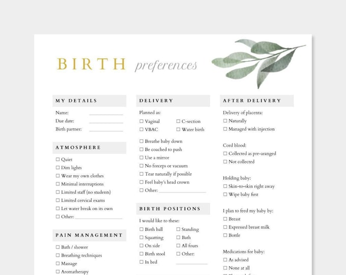 Visual Birth Plan/ Natural Birth Plan/ Birth Preference/ Birth Plan ...