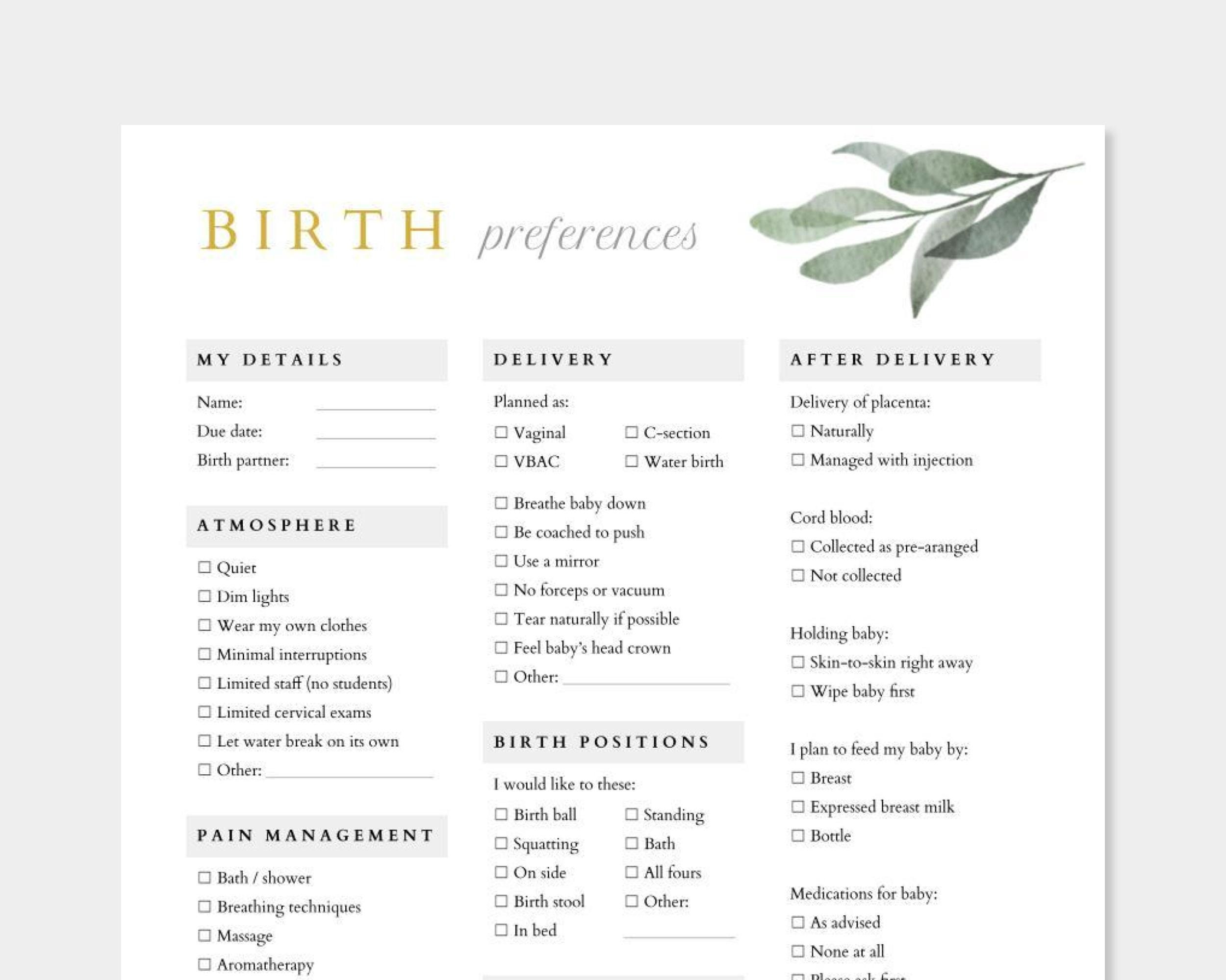 Birth Plan Template for Canva, Word, Google Docs, Google Slides - Etsy ...