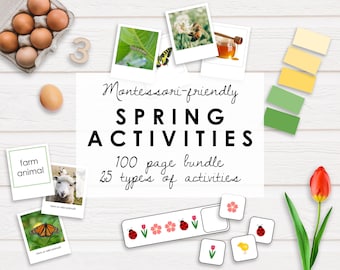 Montessori Printable Fruit Shadow Matching Toddler Cards Color Matching ...