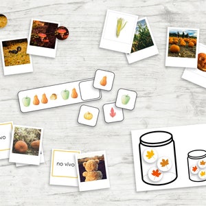 Bilingual Spanish + English Autumn Montessori Materials | Preschool ...