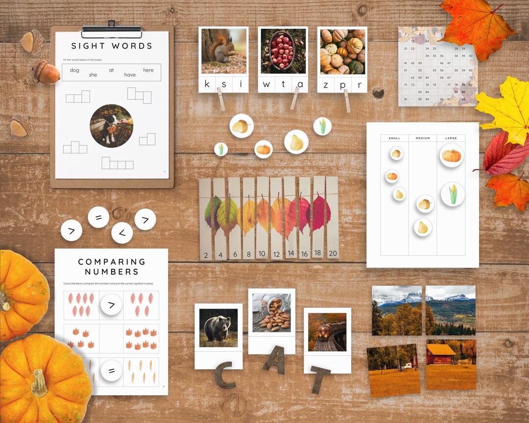 Montessori Printable Fall Worksheets | Independent Workbook - Etsy
