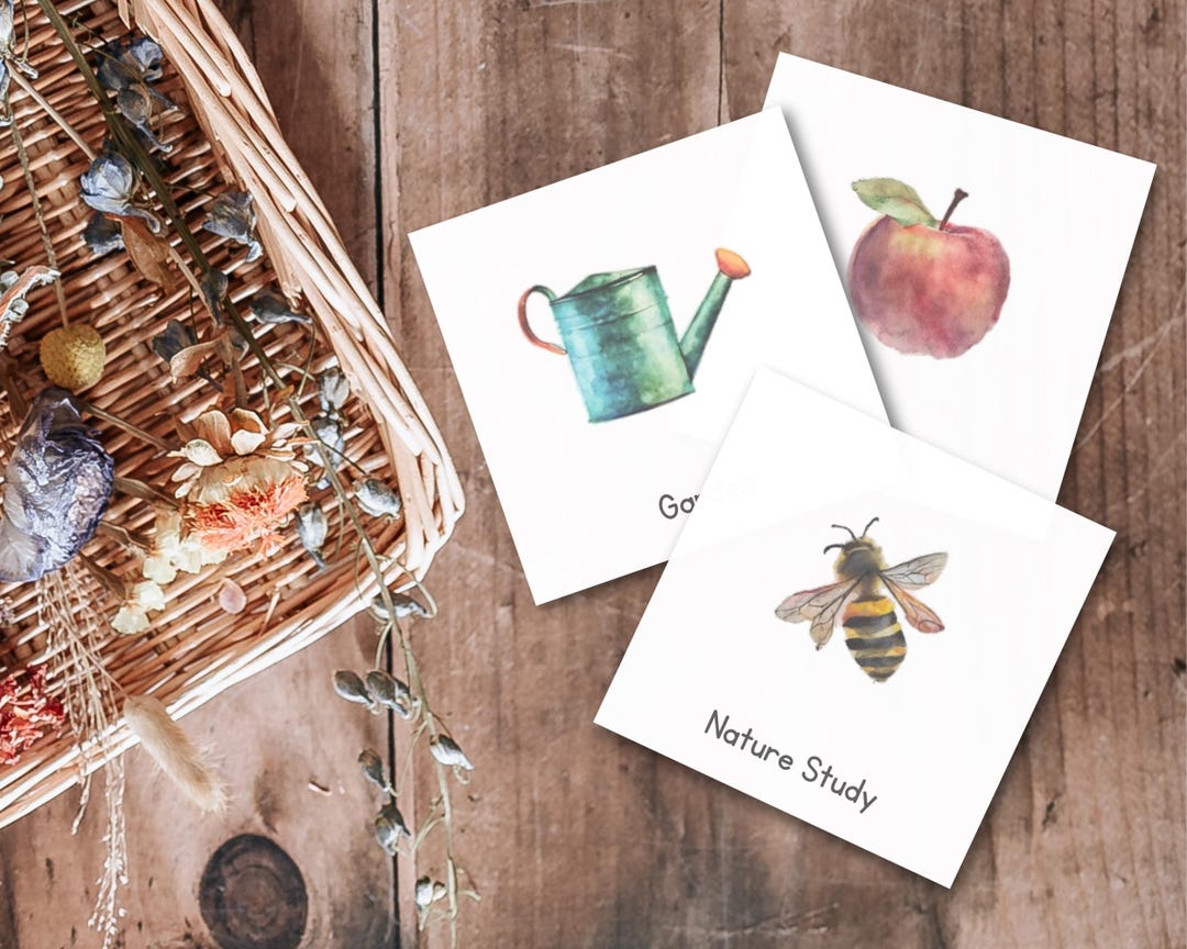 Daily Routine Cards With Watercolor Illustrations - Etsy